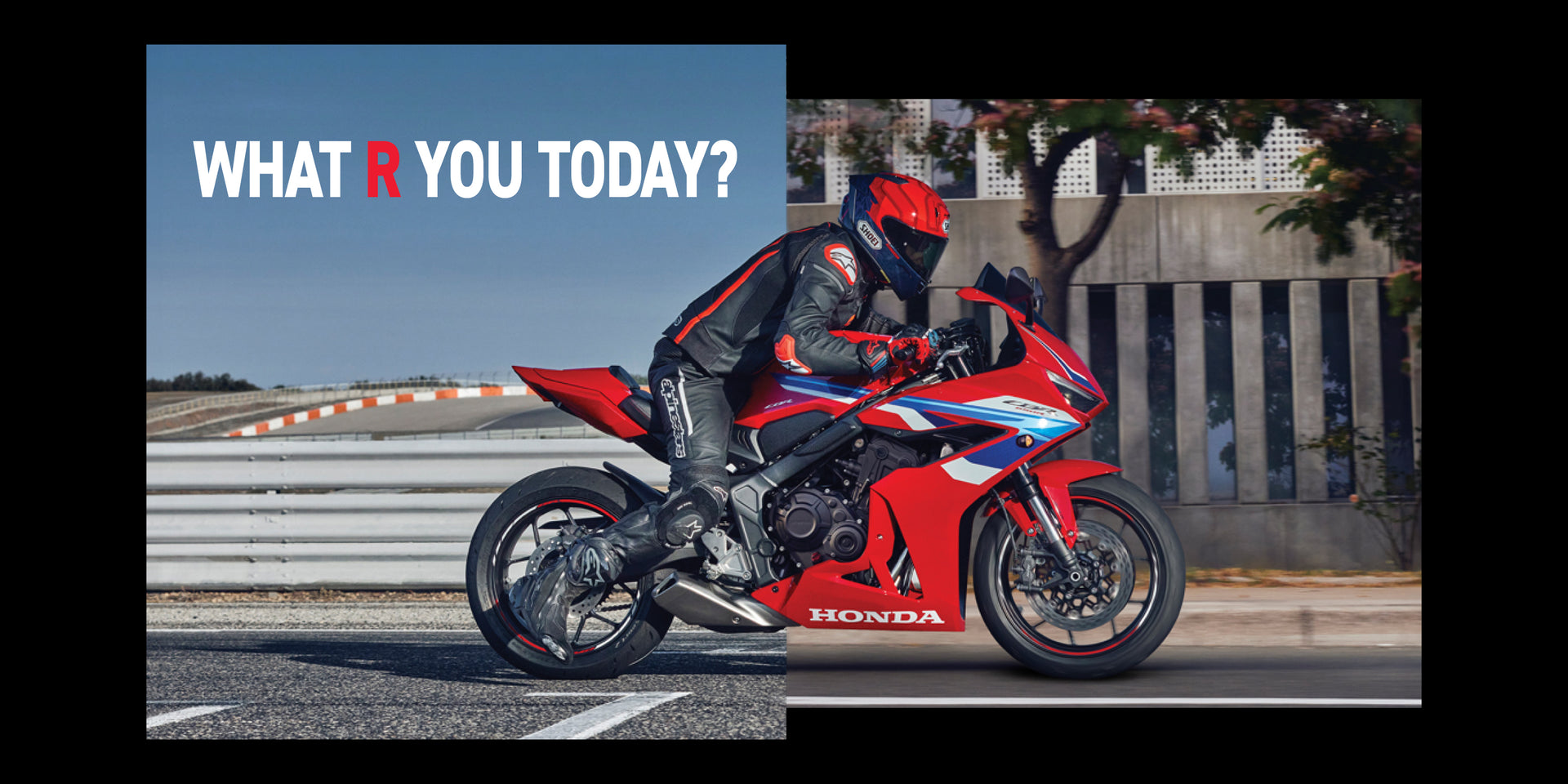 Team Rees Motorcycles